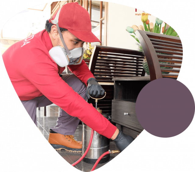 Jasa Anti Rayap Bandung | Basmi Rayap | FUMIDA