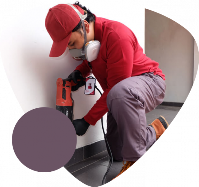 Jasa Anti Rayap Bandung | Basmi Rayap | FUMIDA